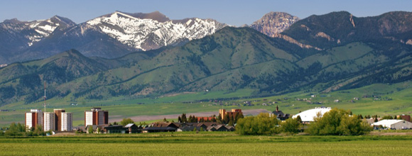 Montana State University – College Right